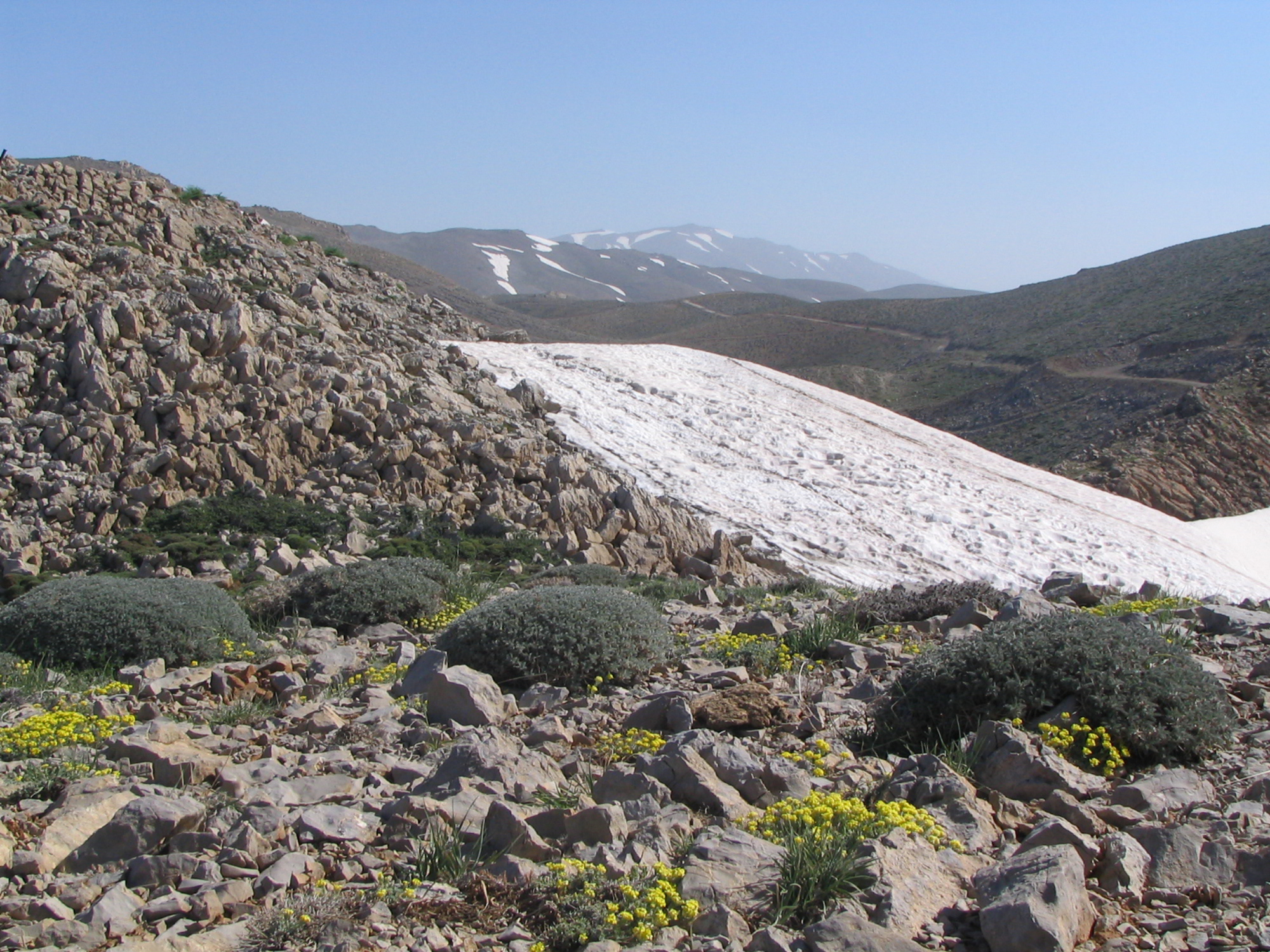 Ecological gradients & ecotones – Kark Group